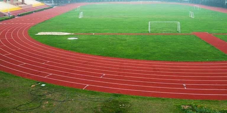 Premium Sod Farm & Turf Grass Supplier in Birmingham | Near Me
