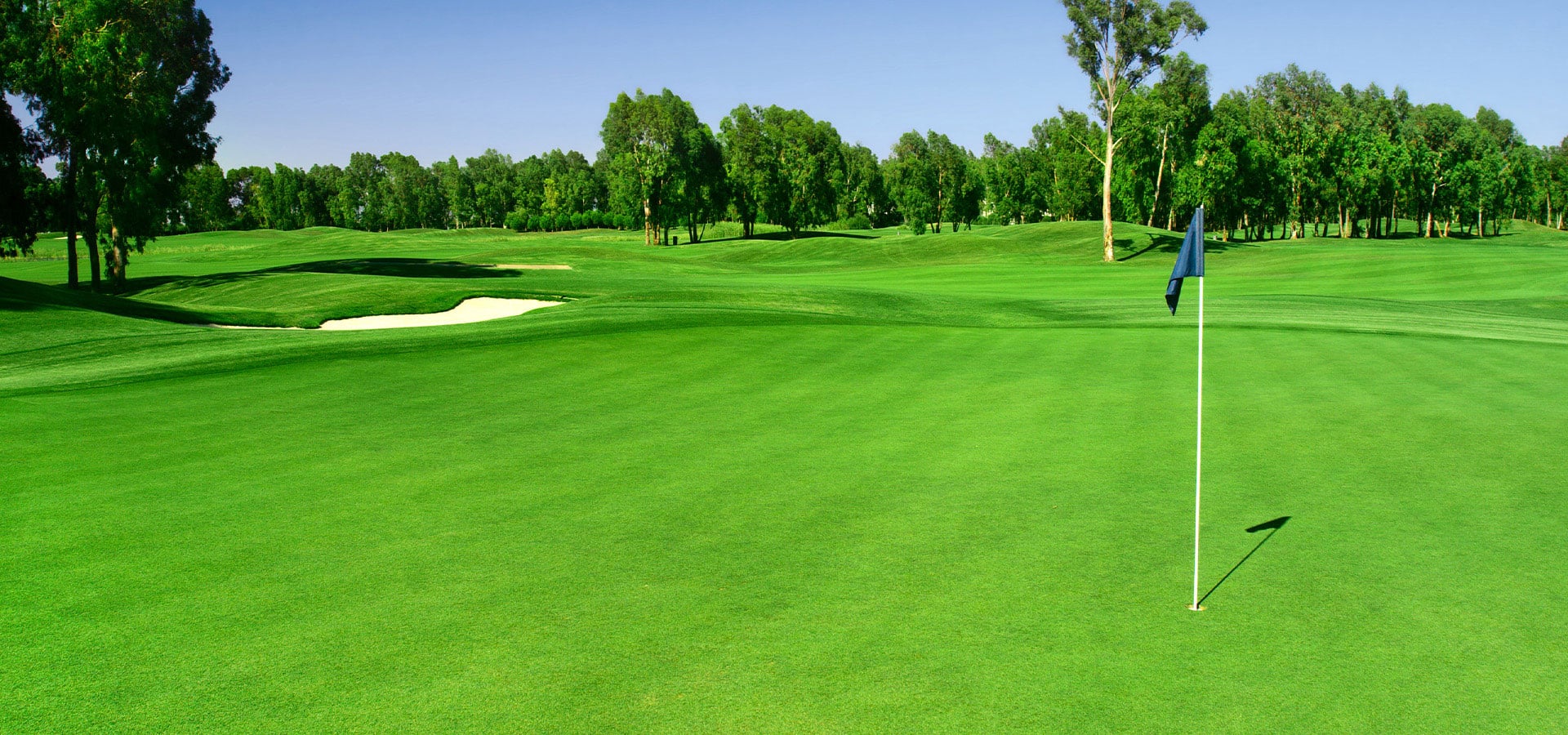Premium Sod Farm & Turf Grass Supplier in Birmingham | Near Me