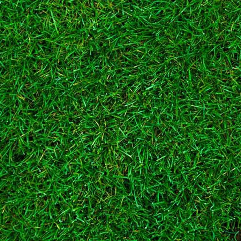 Emerald Zoysia Sod | Birmingham, AL | South Dallas Turf Farm